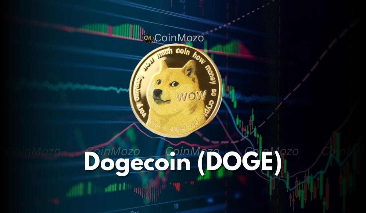 Dogecoin DOGE: Whale Transactions Peak, DOGE Activity Dip