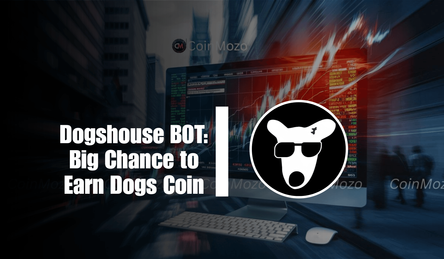 Dogshouse BOT: Big Chance to Earn Dogs Coins Worth 1 Million