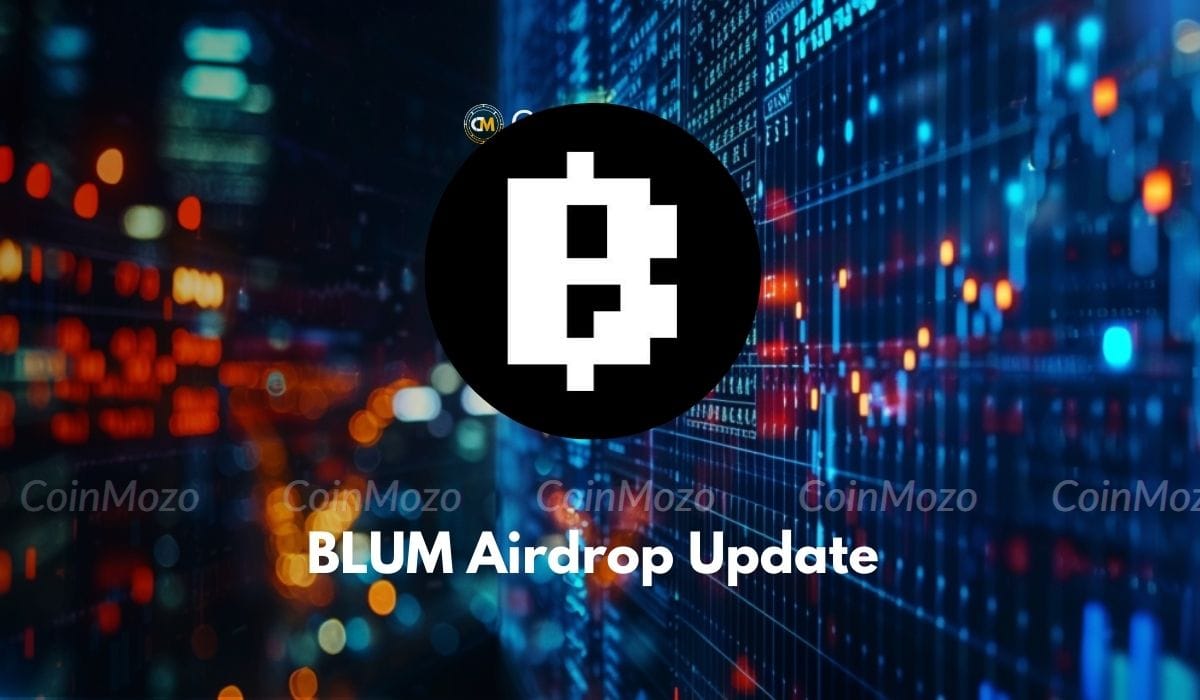 New Blum Airdrop Update: TON Wallet Connection Available!