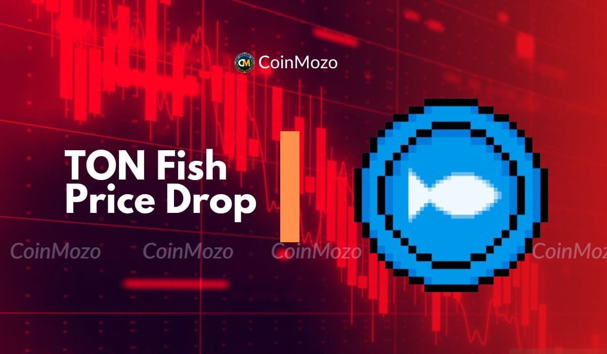 Ton Fish: Price Drop to 67% Chance of Active Community Fight