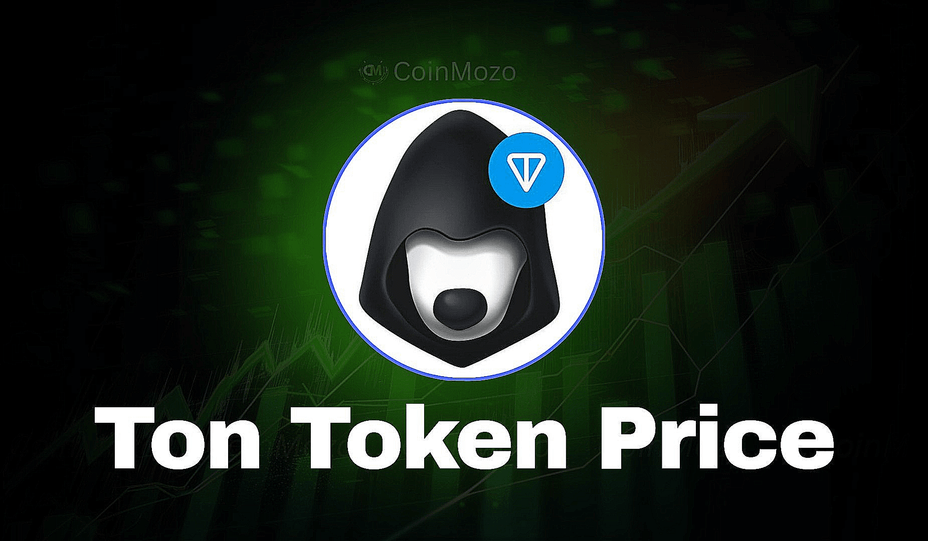 Ton Token Price Surges 6% High as Pavel Durov Secures Bail
