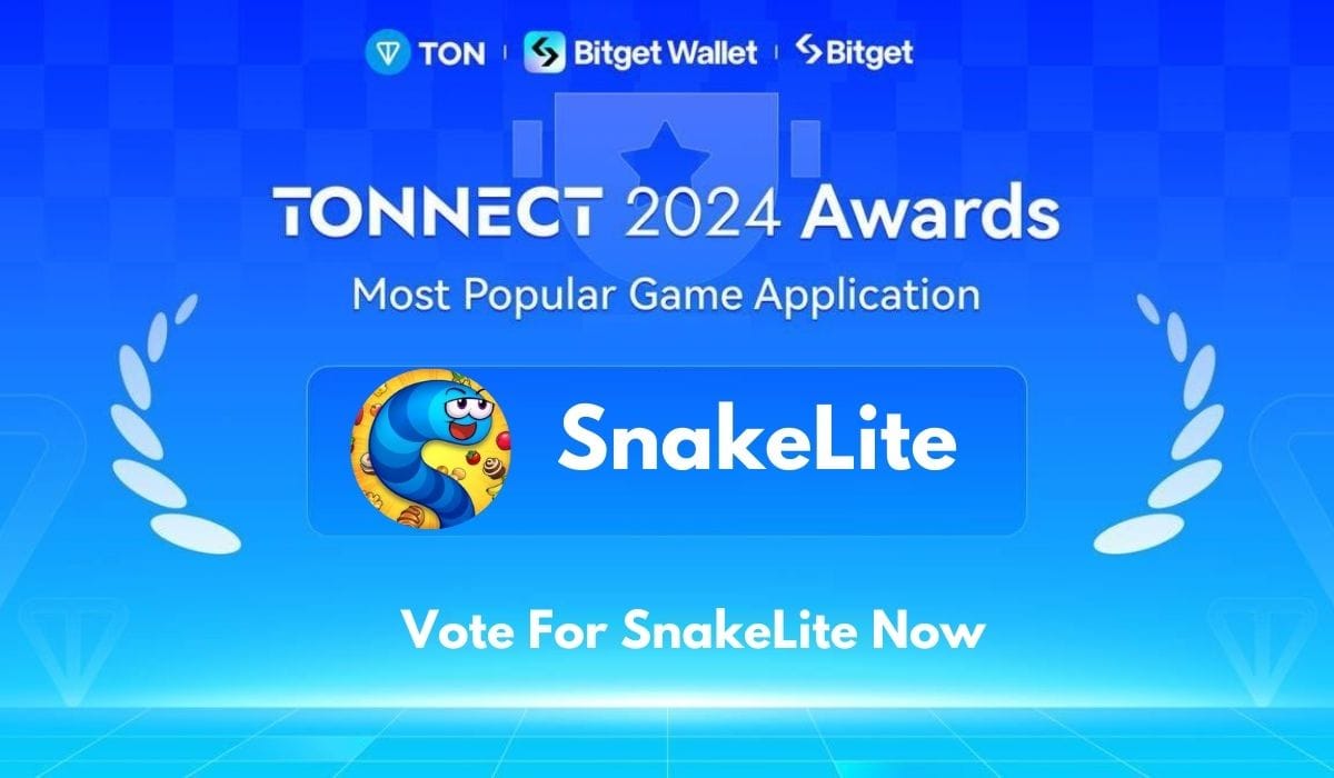 How to Nominate SnakeLite To Win Tonnect 2024 Awards?