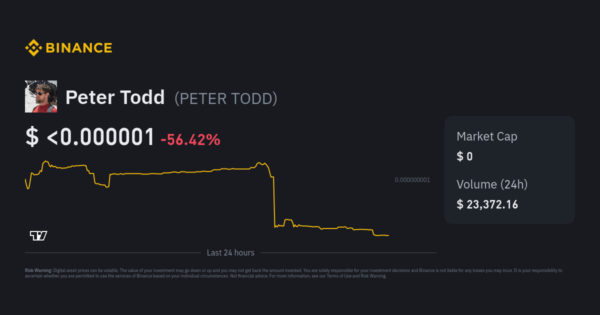 Revealing Peter Todd Net Worth & Satoshi Mystery behind BTC