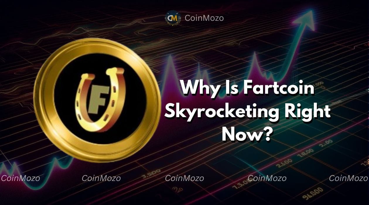 What Is Fartcoin? Why Is It Skyrocketing Right Now?